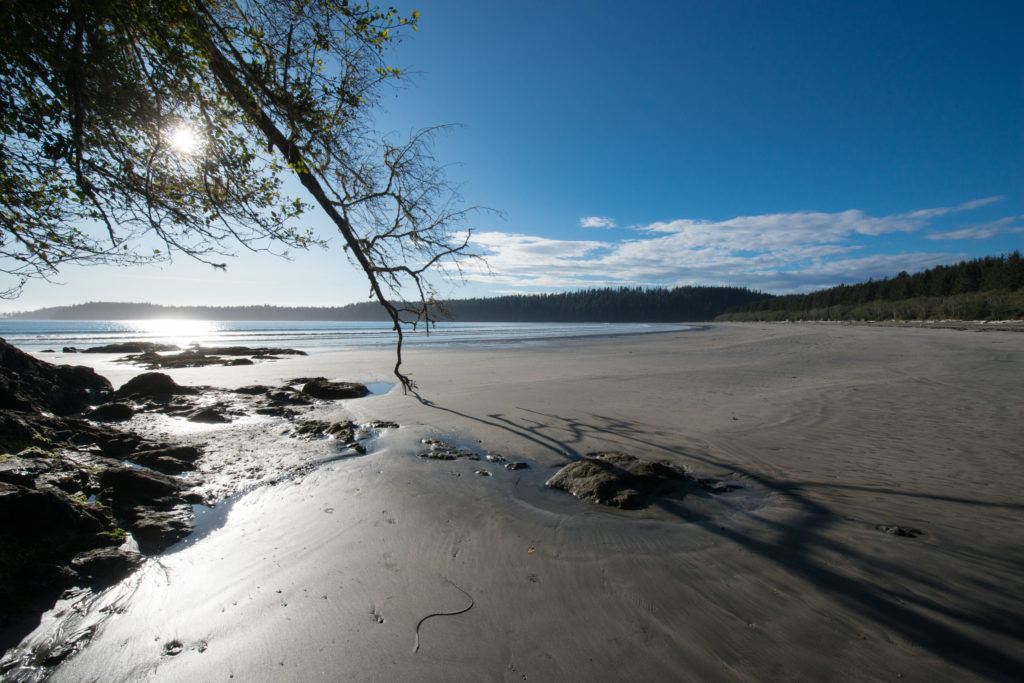 Pachena Bay Campground - HFN Group of Businesses